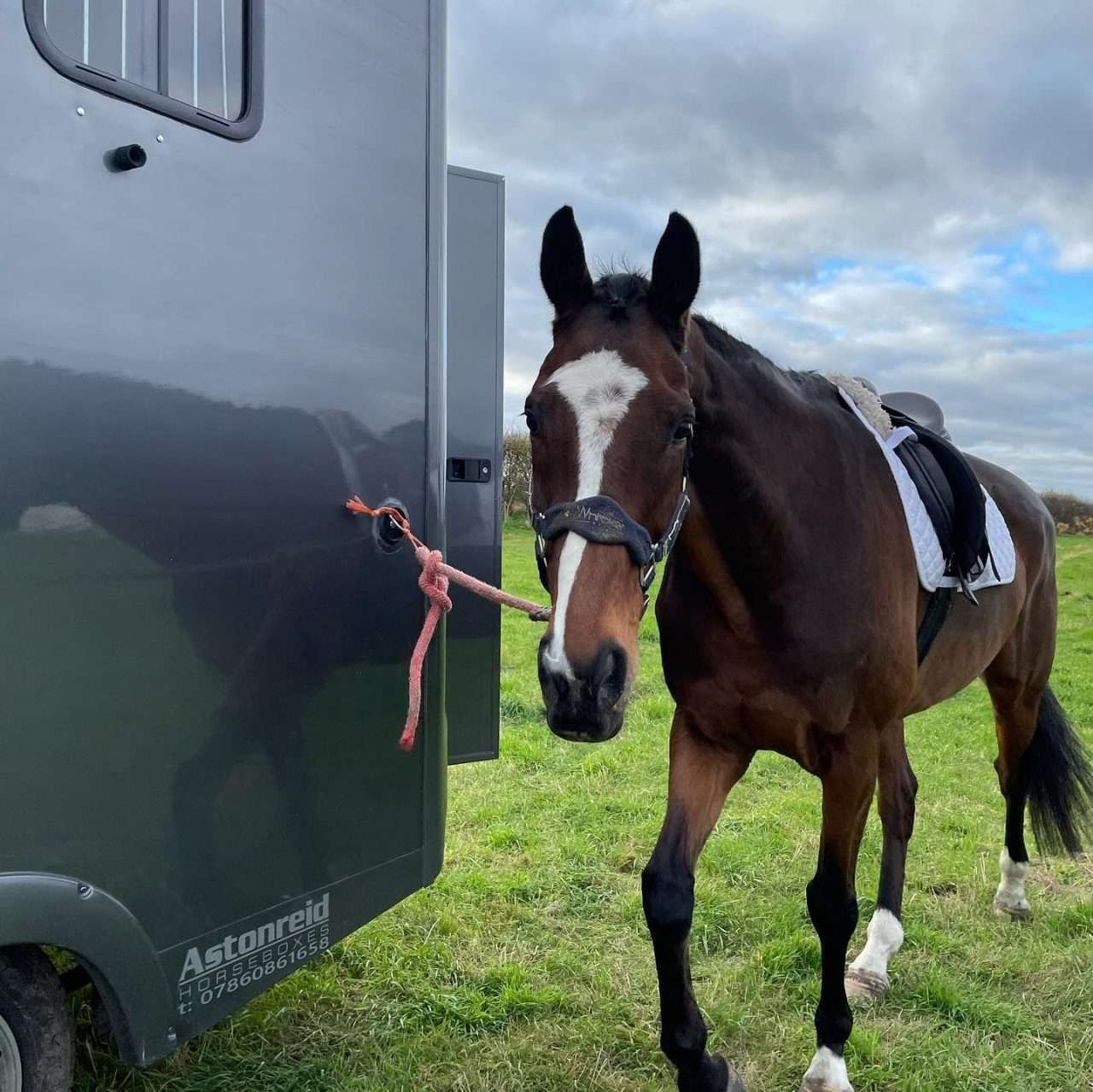 Finish Line Horsebox Hire | Safe & secure horse transport in W Yorkshire